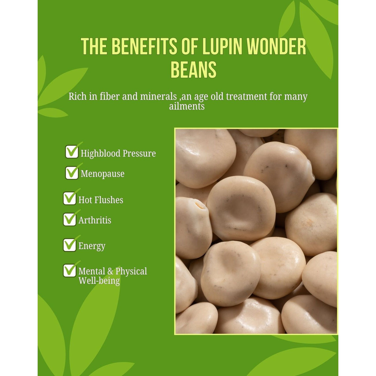 Pure Miracle -Wonder Beans (500g) – Zencare
